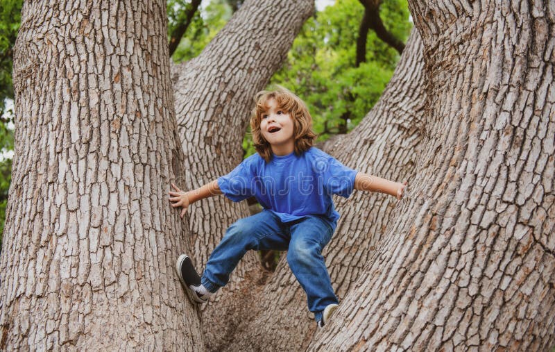 Little Cute Boy, Climbing the Tree in Nature. Kids Playing Outdoor ... Little Cute Boy, Climbing the Tree in Nature. Kids Playing Outdoor ...