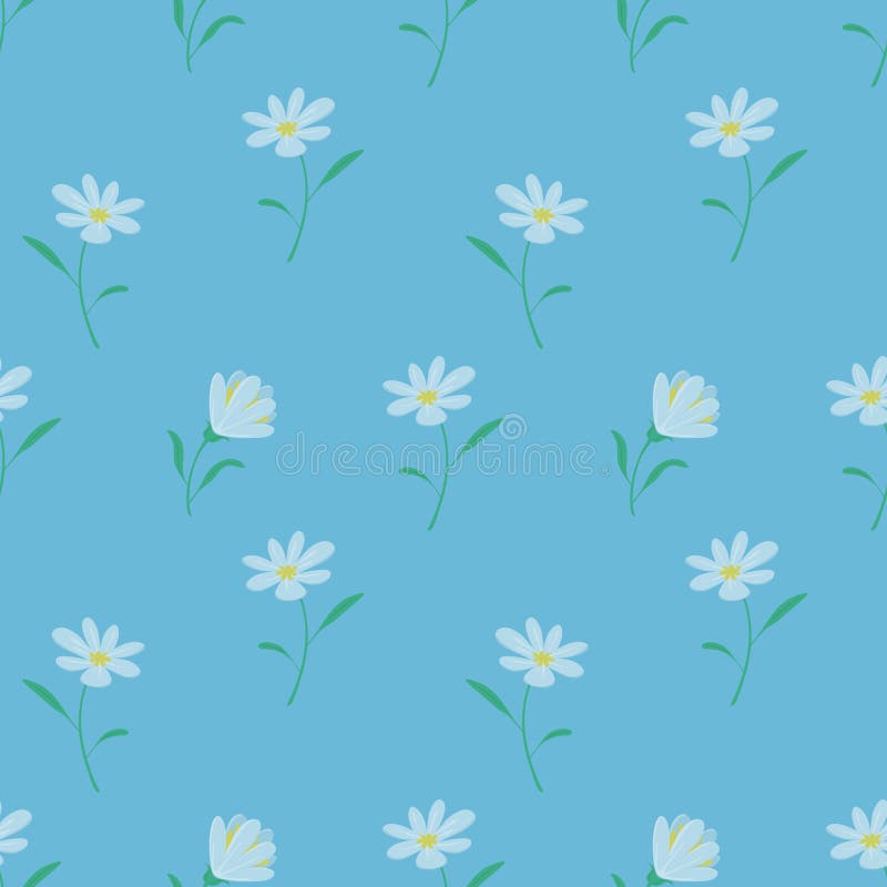 Little Cute Camomile Flowers on Bright Blue, Seamless Pattern Vector ...