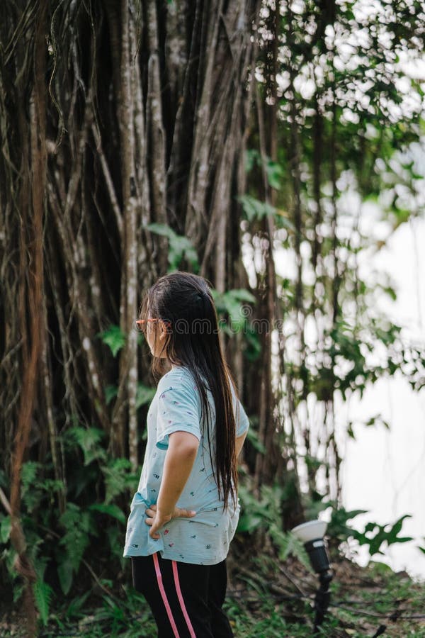 Little Cute Child Girl Standing Alone With Near Banyan Tree Stock Image ... Little Cute Child Girl Standing Alone With Near Banyan Tree Stock Image ...
