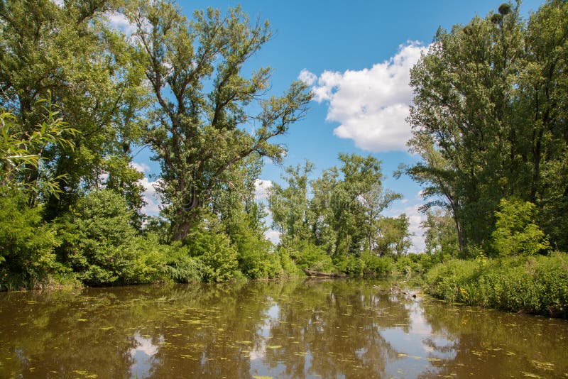 Little Danube River Arm in the Spring Landscape Stock Image - Image of ...
