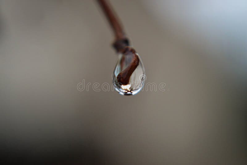 Little drop stock image. Image of slow, drop, water - 150216363