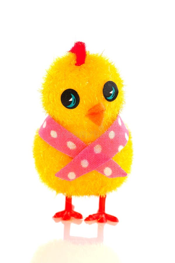 Little easter chick stock photo. Image of bird, decoration - 12967734