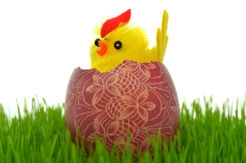 Little Easter Chicken in Easter Egg Stock Image - Image of europe ...
