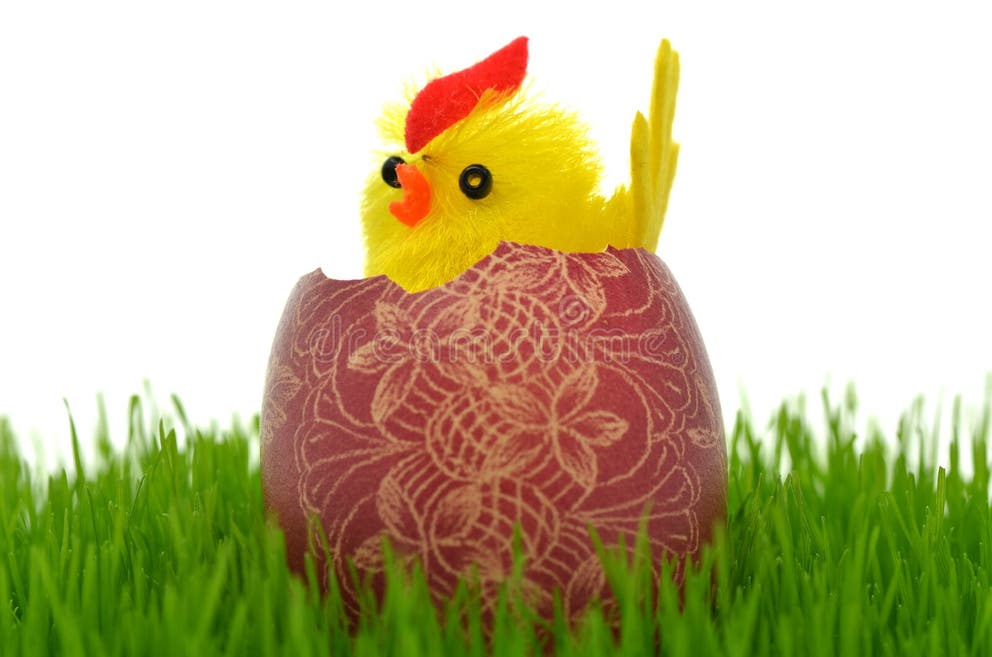 Little Easter Chicken in Easter Egg Stock Image - Image of europe ...
