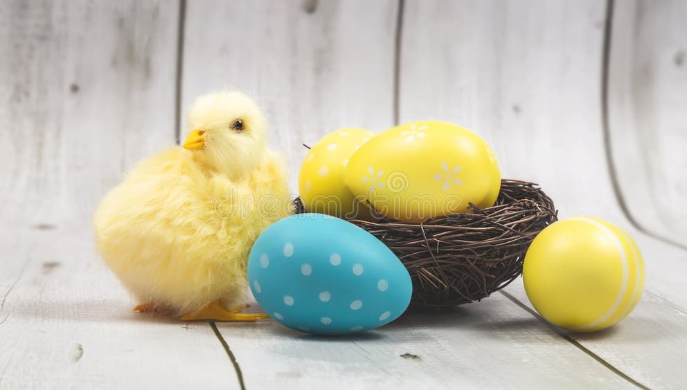 Little Easter Chicken, Easter Chicken, Easter Eggs, Easter Card Stock ...