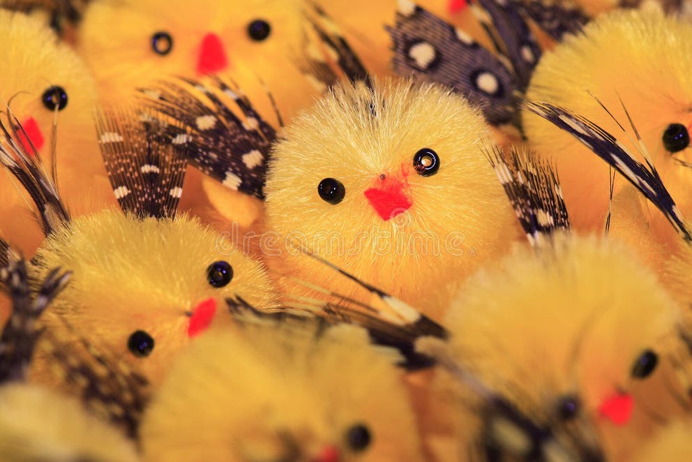 Little Easter chicks stock photo. Image of mascot, artificial - 13383836