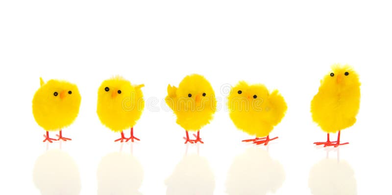 Easter chicks with eggs stock photo. Image of decorative - 12967752