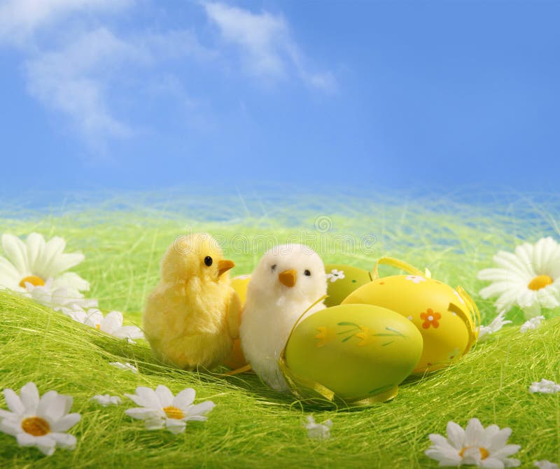 Little Easter chicks stock image. Image of easter, decorative - 8408387