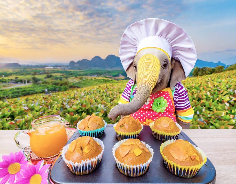 Little Elephant Chef with Preparing Delectable Cupcakes at the Terrace ...