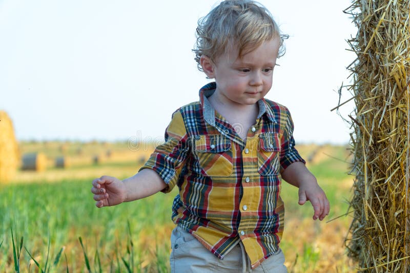 Little Fair-haired Boy Playing on a Wheat Field with Bales Stock Photo ...