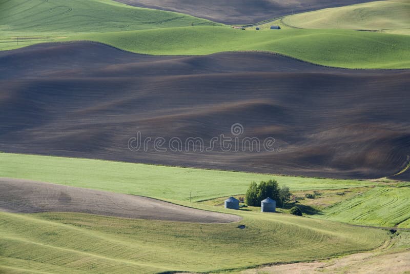 Little Farm in the Vast Land. Stock Photo - Image of washington, crop ...