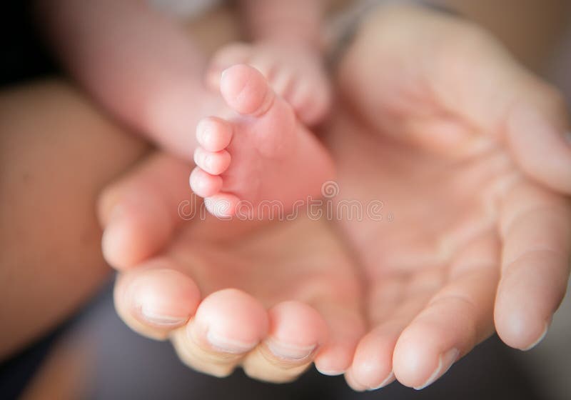 Little Feet in Daddy S Hands Stock Image - Image of closeup ...