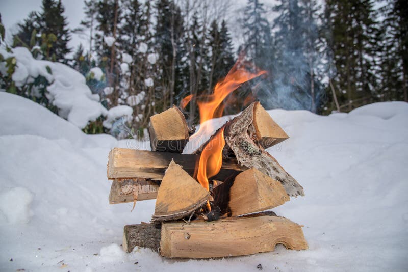 A Little Fire Standing in Snow in Sweden Stock Photo - Image of fire ...