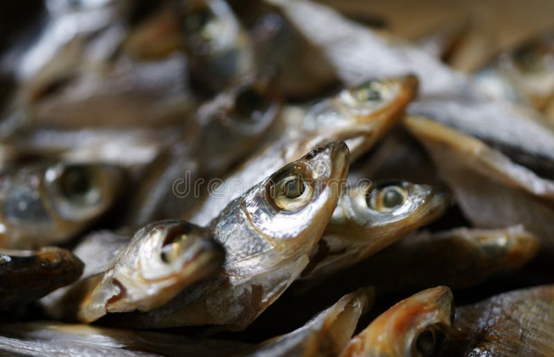 Little fish stock photo. Image of cuisine, horizontal - 6318154