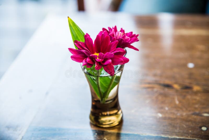 Little Flowers on Wooden Table Stock Photo - Image of little, botanical ...
