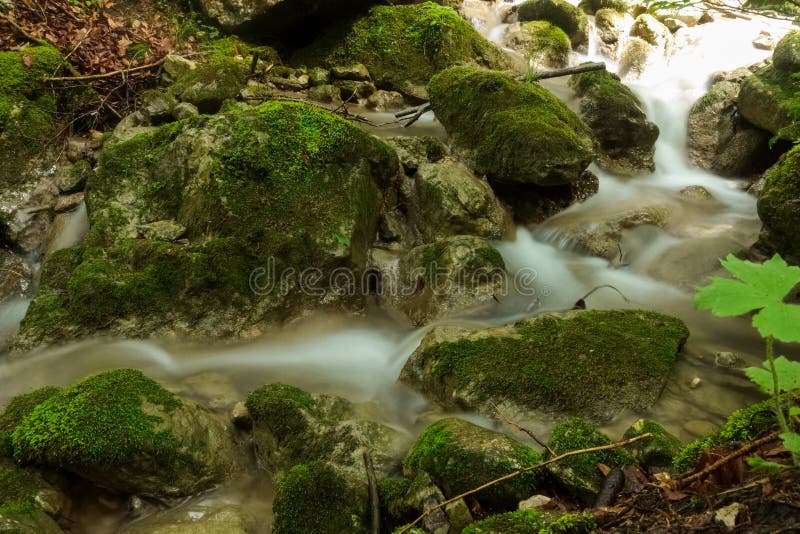Little Flowing Brook between Green Rocks with Moss in the Mountains ...