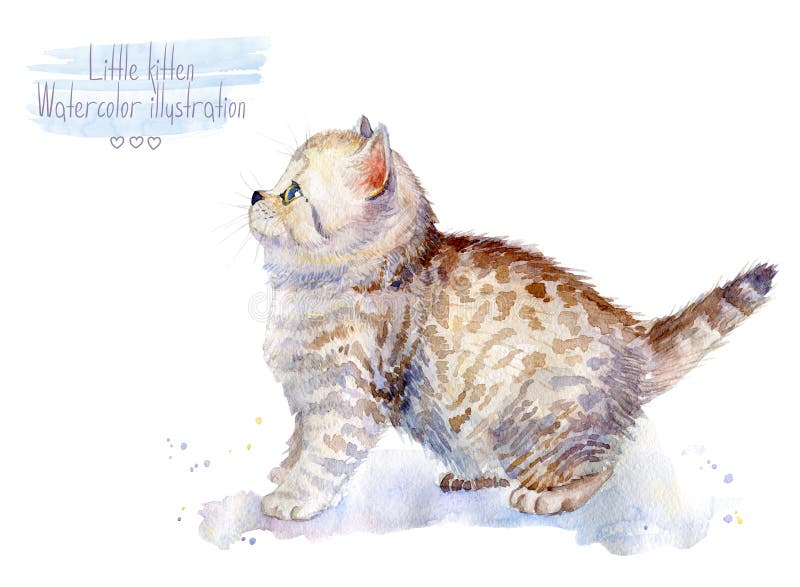 Little Fluffy Kitten. Spotted Cat. Stock Illustration - Illustration of ...