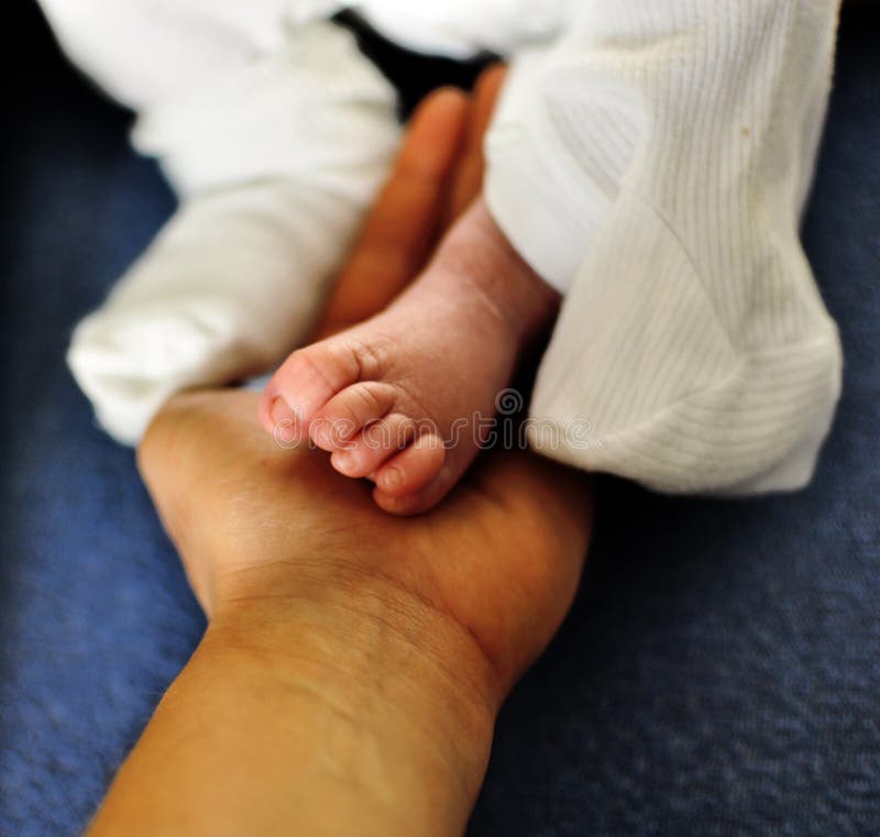 Little food stock image. Image of hold, born, palm, body - 13274765