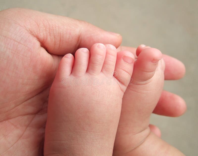 Stock Photos and Royalty-Free Images by Dreamstime