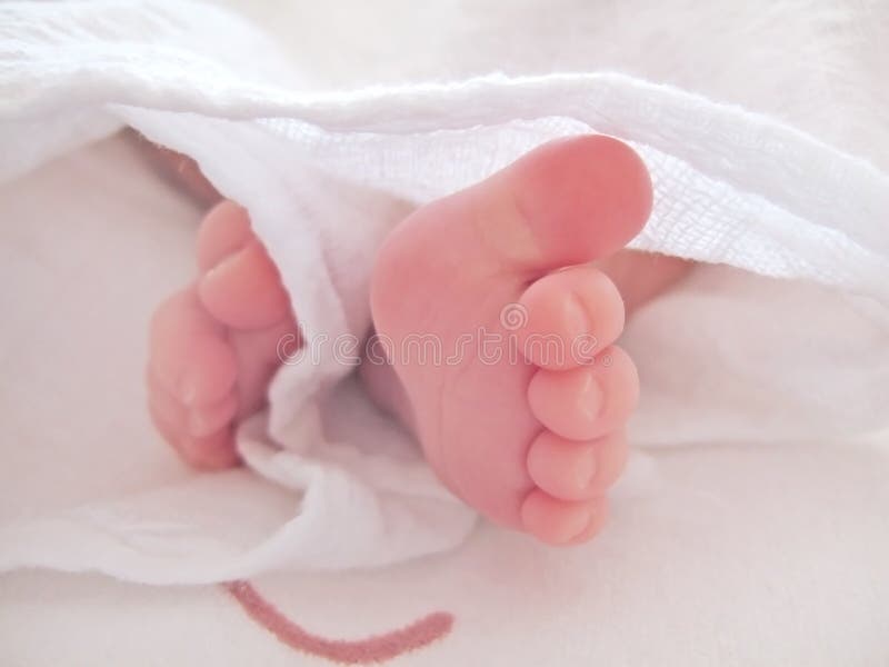 Little foot stock photo. Image of yellow, marriage, small - 6151338