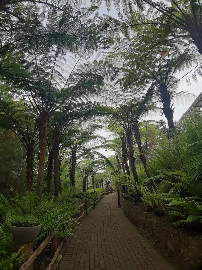 Little Forest River, with Rapid Flow, from Small Cold Sources, Flows in ...