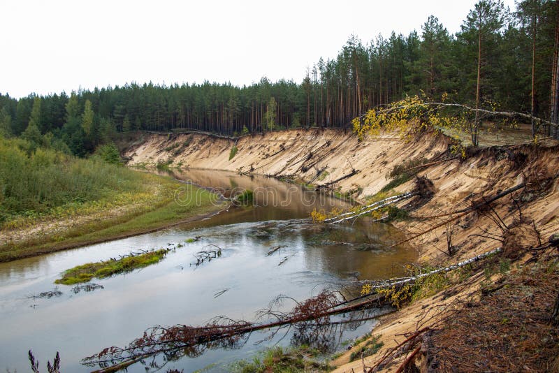 Little Forest River, with Rapid Flow, from Small Cold Sources, Flows in ...
