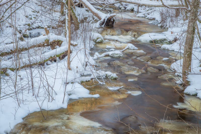 Little Forest Stream Frozen. Snowy Forest in Lithuania Stock Image ...