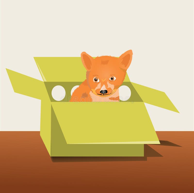 Little fox in the box stock vector. Illustration of safe - 217374771