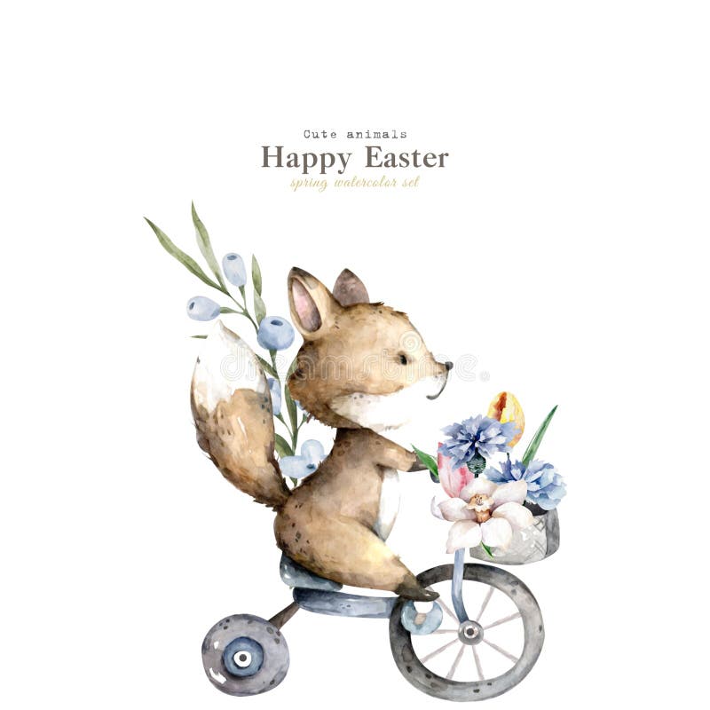 Little Fox Rides a Bicycle Watercolor. Hello Spring Animals Stock ...