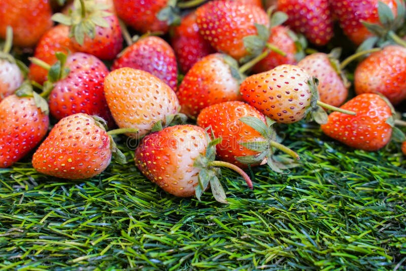 Little Fresh Strawberry in Fruit Market Stock Photo - Image of closeup ...