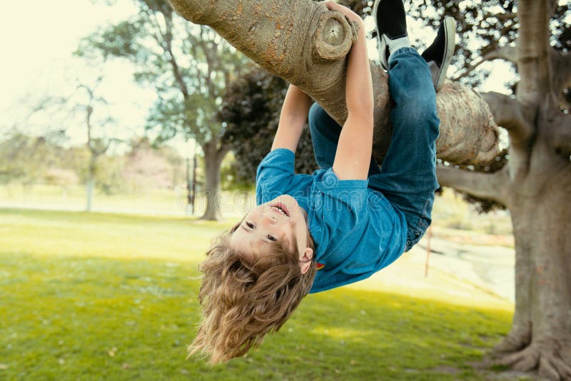 Little Funny Kid Climbing Tree in the Park Stock Image - Image of happy ...
