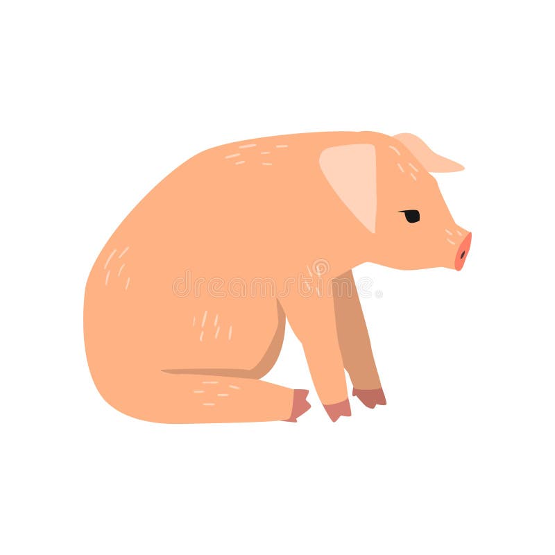 Little Funny Pig Sitting On The Floor, Side View Cartoon Vector ... Little Funny Pig Sitting On The Floor, Side View Cartoon Vector ...