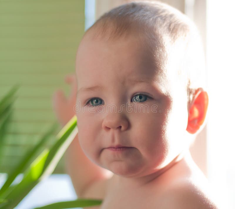 Little girl stock photo. Image of caucasian, female, indoors - 23207686