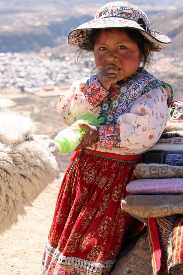 Alpaca, Peru stock photo. Image of south, outdoors, nature - 13886002