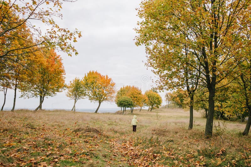 Little Girl in the Autumn Park. Pathway Stock Photo - Image of cute ...