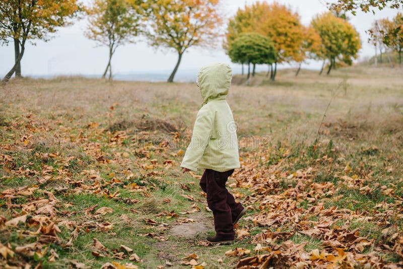 Little Girl in the Autumn Park. Run Pathway Stock Photo - Image of ...