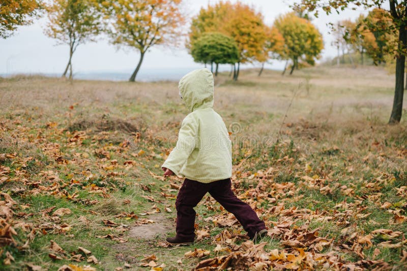 Little Girl in the Autumn Park. Run Pathway Stock Image - Image of cute ...
