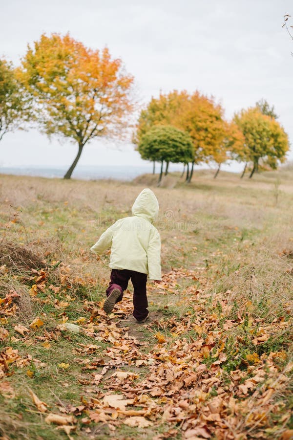 Little Girl in the Autumn Park. Run Pathway Stock Image - Image of cute ...