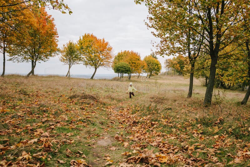 Little Girl in the Autumn Park. Run Pathway Stock Photo - Image of ...