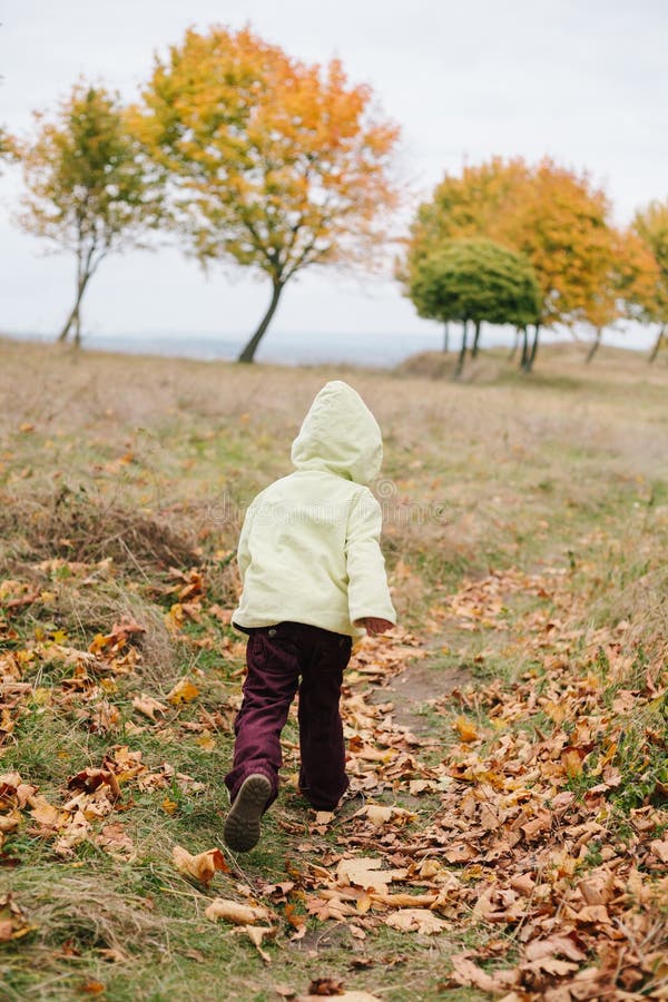 Little Girl in the Autumn Park. Run Pathway Stock Image - Image of baby ...