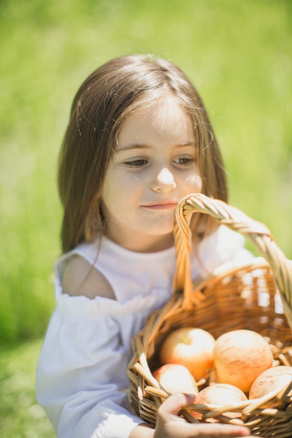 Little Girl with Basket of Fruit Stock Photo - Image of chrysanthemums ...