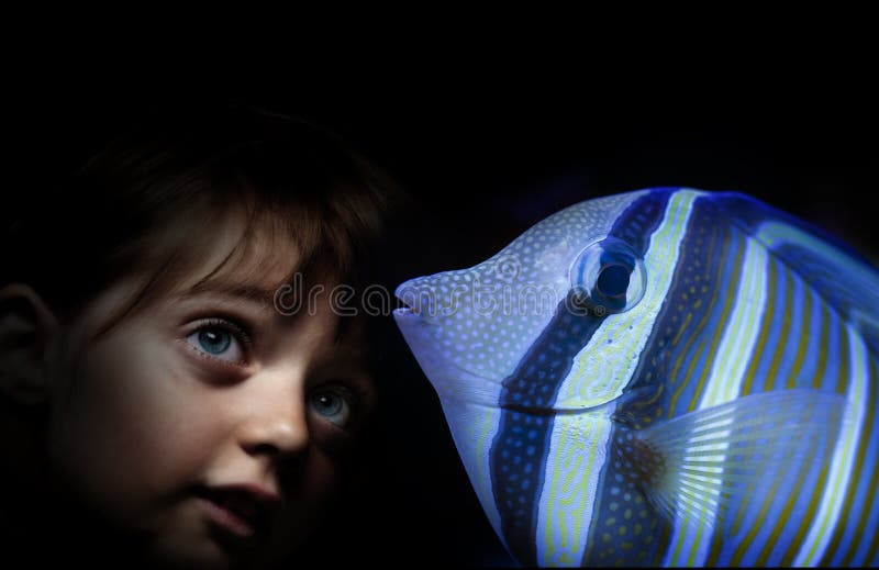 Little Girl Behind Aquarium Looking on Fish Stock Image - Image of ...