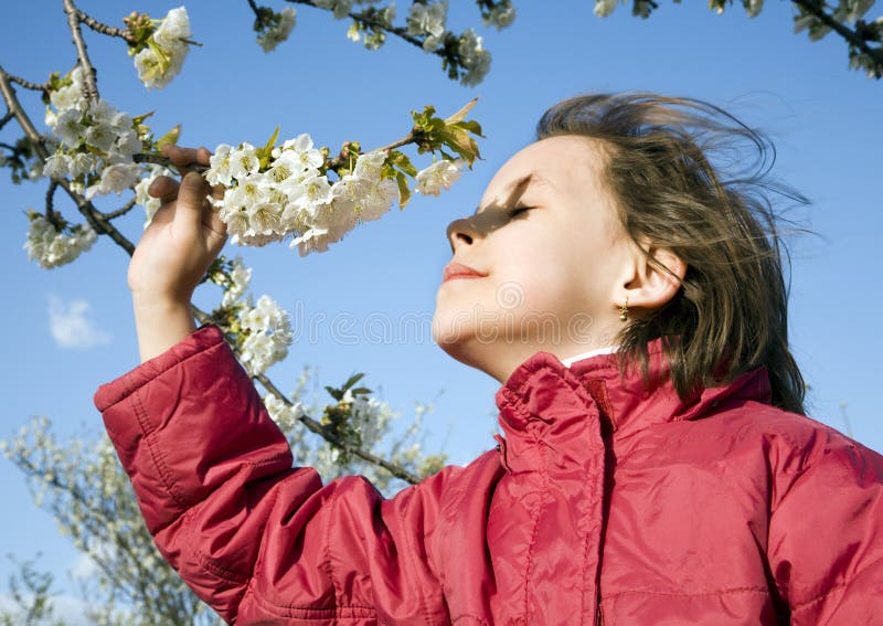 Little Girl And Cherry Tree Stock Image - Image of spring, wind: 19139353