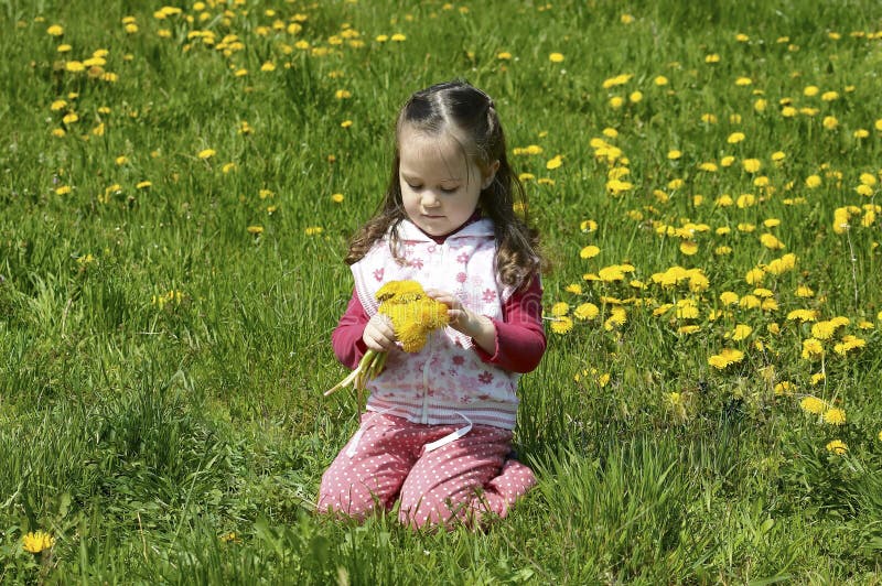 Little Girl Collect Flowers Stock Photo - Image of hair, cheerful: 19644976