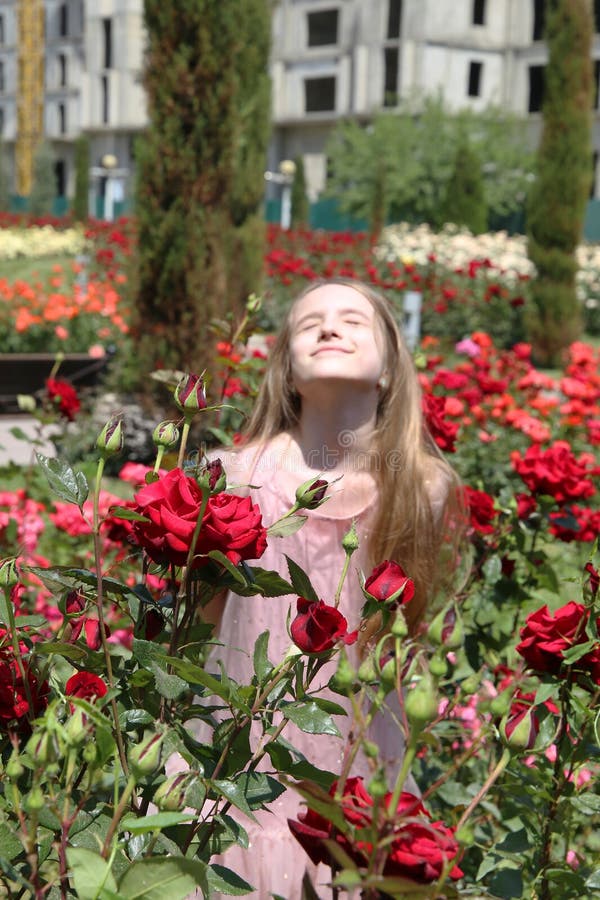 Little Girl among the Field of White Roses Stock Photo - Image of grow ...