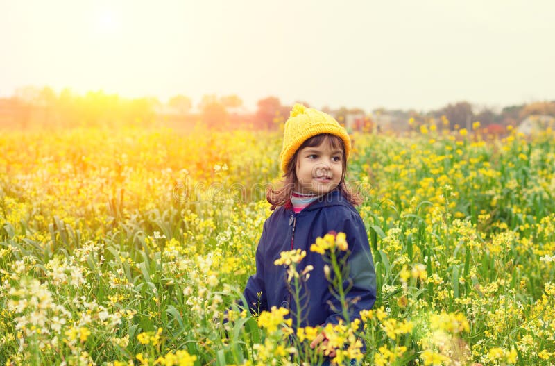 Little girl flower field stock image. Image of feeling - 48780131
