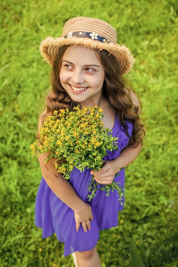 Little Girl with Freshly Picked Hypericum Perforatum, Collecting Herbs ...