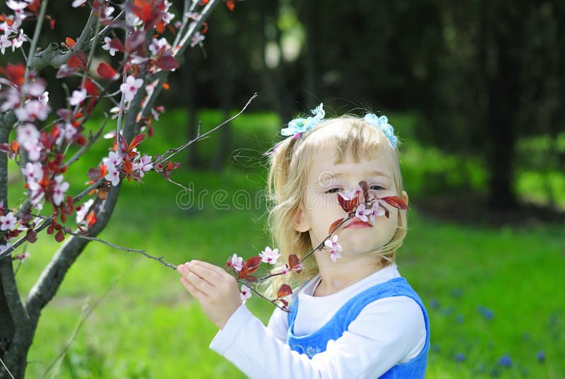 Little Girl on Green Grass in Spring with Flowering Tree Stock Photo ...