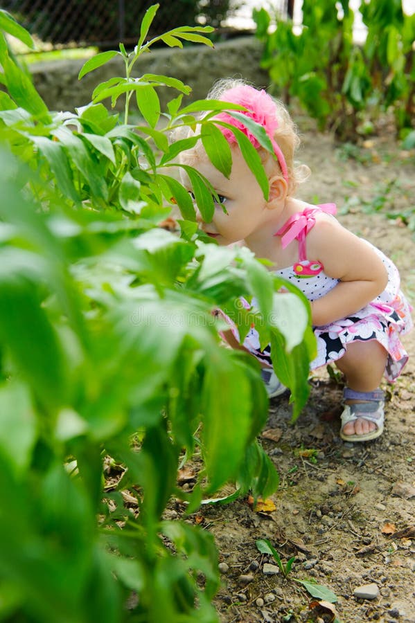 Young Girl Hiding Over Bush Stock Image - Image of grass, field: 9421743