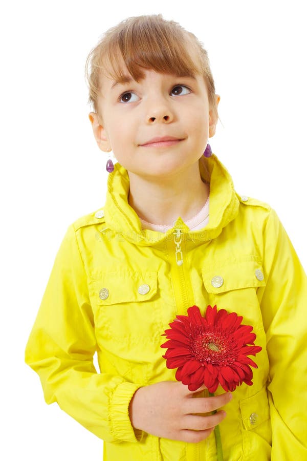 Little Girl Holding Red Flower Stock Photo - Image of female, child ...